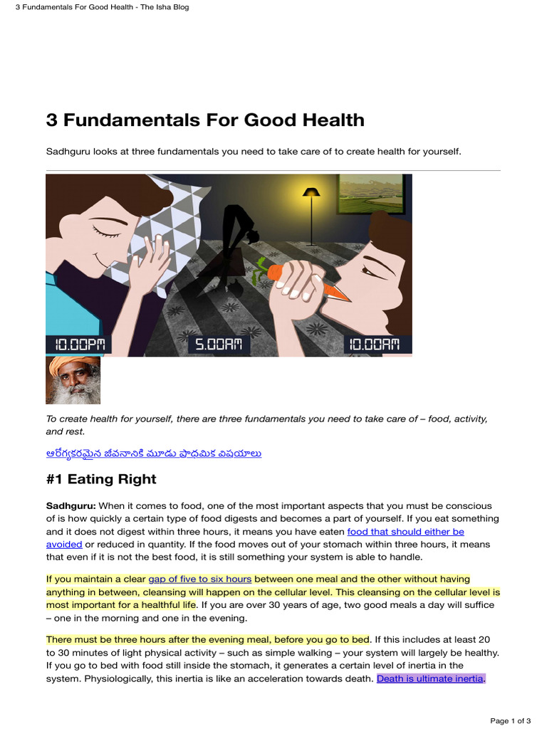 3 Fundamentals For Good Health | PDF
