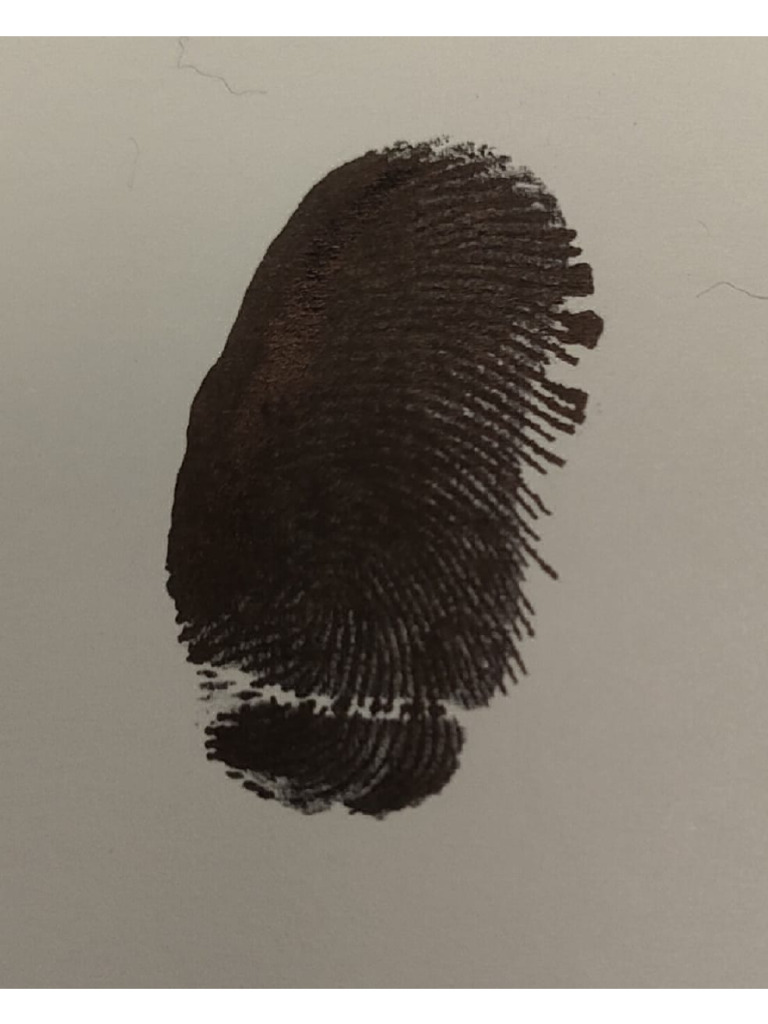 Fingerprint | PDF