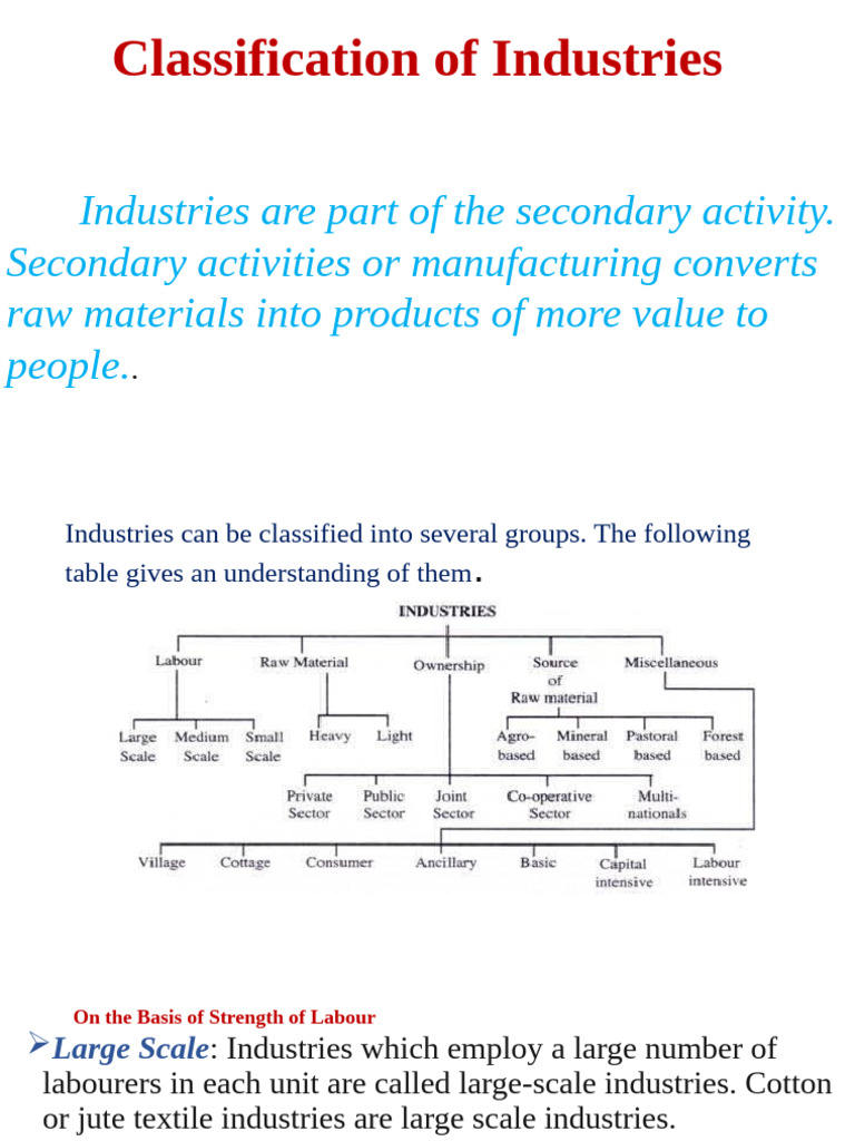 Classification of Industries | PDF | Multinational Corporation | Economies