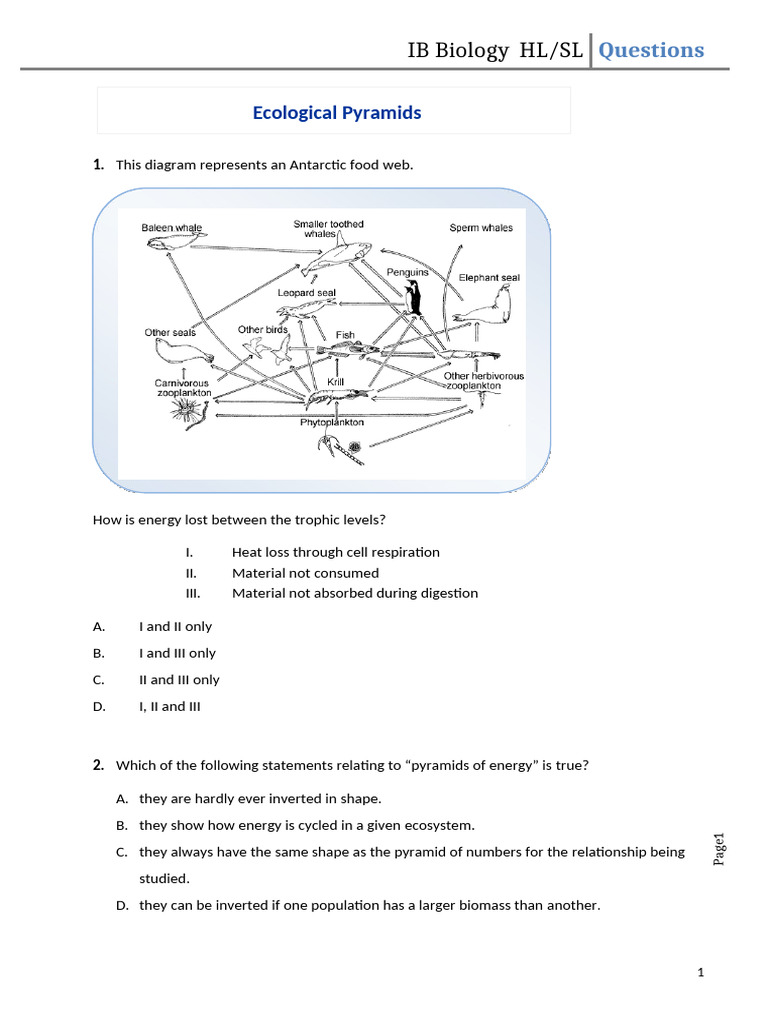 IB Biology Energy Flow and Trophic Levels | PDF | Food Web | Ecology