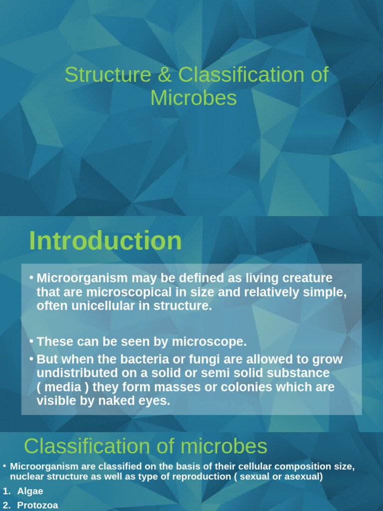 Structure & Classification of MB | PDF | Protozoa | Microorganism