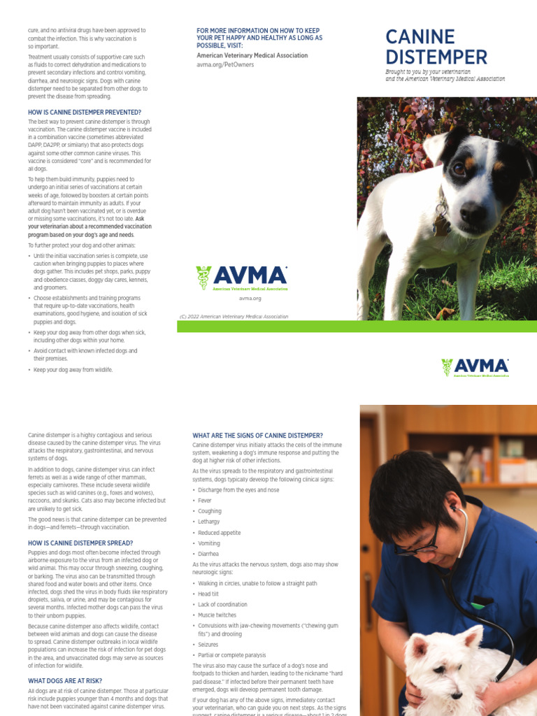 MCM Client Brochures Canine Distemper 2022 | PDF | Dogs | Veterinary ...