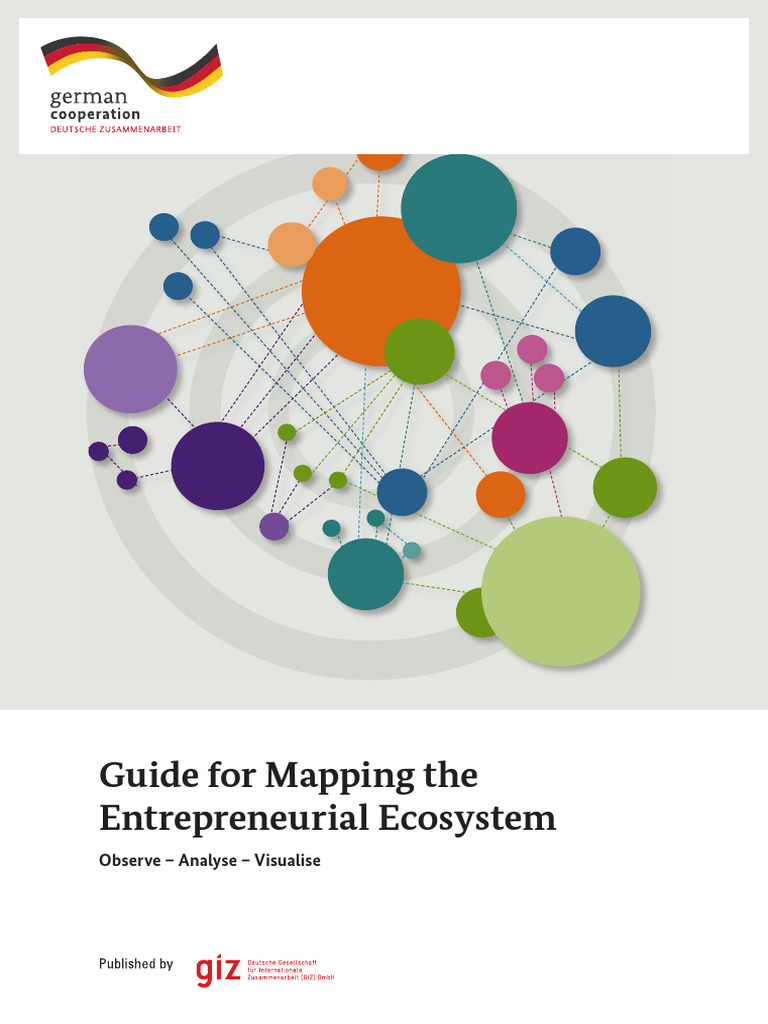 Mapping the Entrepreneurial Ecosystem | PDF | Entrepreneurship | Policy