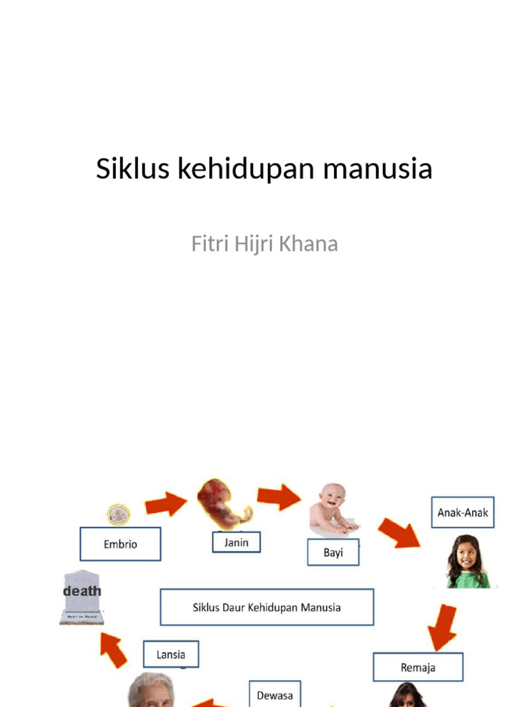 Siklus Kehidupan Manusia | PDF