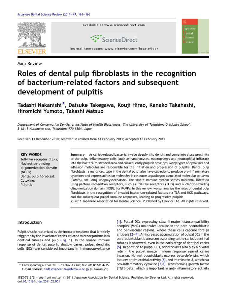 Dental Pulp Fibroblasts and Pulpitis | PDF | Toll Like Receptor ...