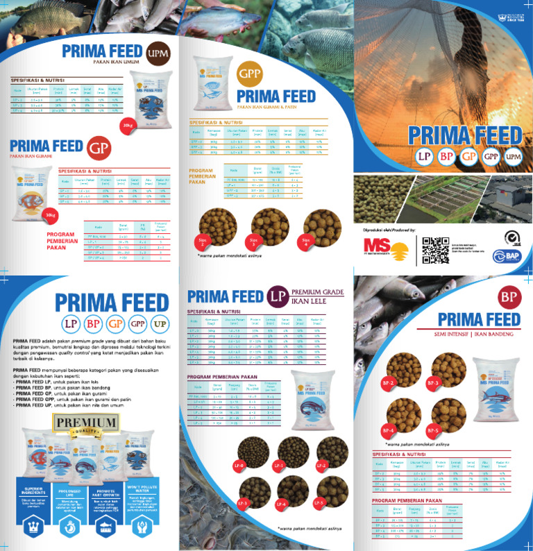 All Prima Feed | PDF
