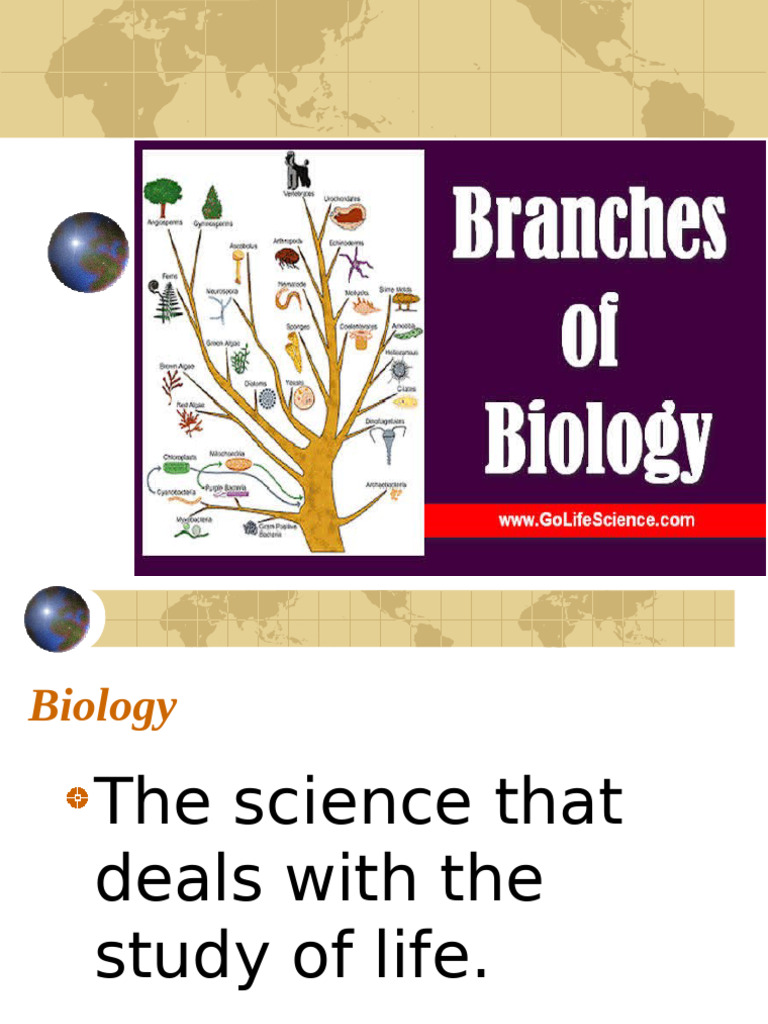 Overview of Biology and Its Branches | PDF