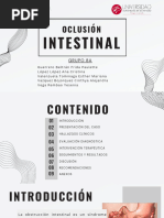 Principales Signos Abdominales | PDF | Tracto gastrointestinal | Abdomen