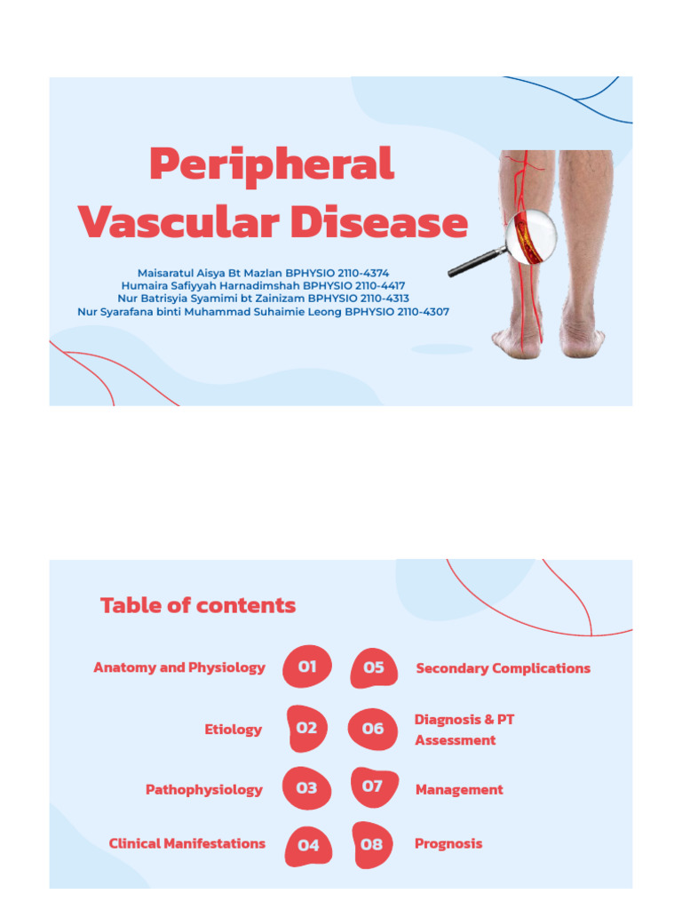 Peripheral Vascular Disease PDF | PDF | Vein | Blood Vessel