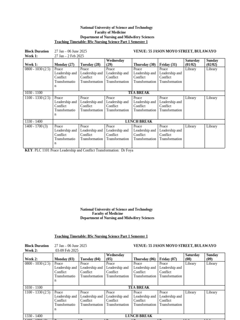 Part 1 BSN Amended Teaching Timetable January 2025 | PDF | Academic ...