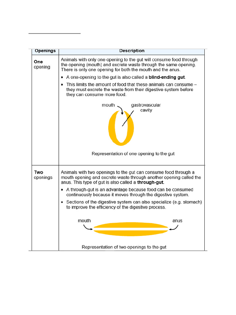 Animal Biodiversity Part 2 | PDF