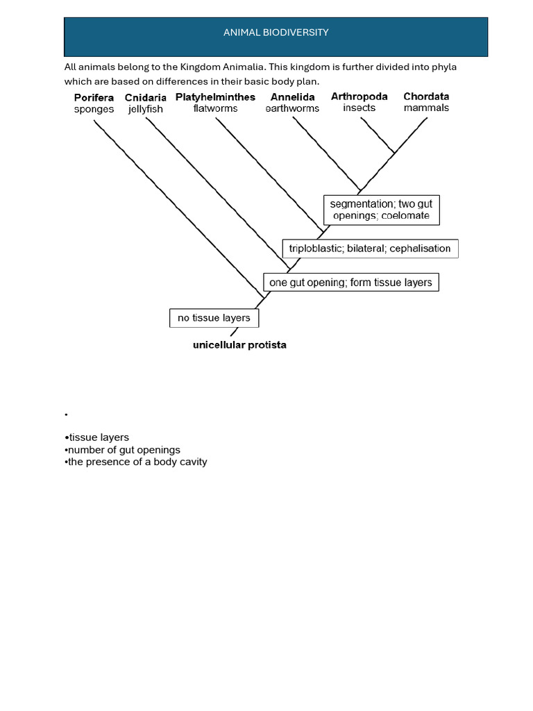 Grade 11 Animal Biodiversity Part 1 | PDF