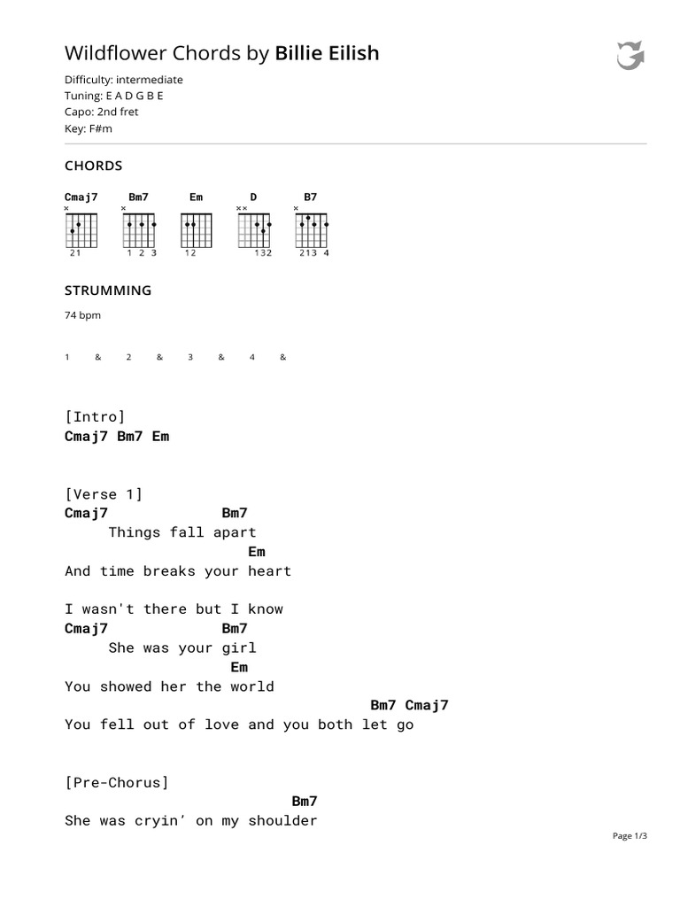 Billie Eilish Wildflower Chords Guide | PDF