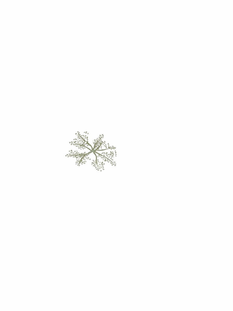 Tree Chop Chop 5 | PDF