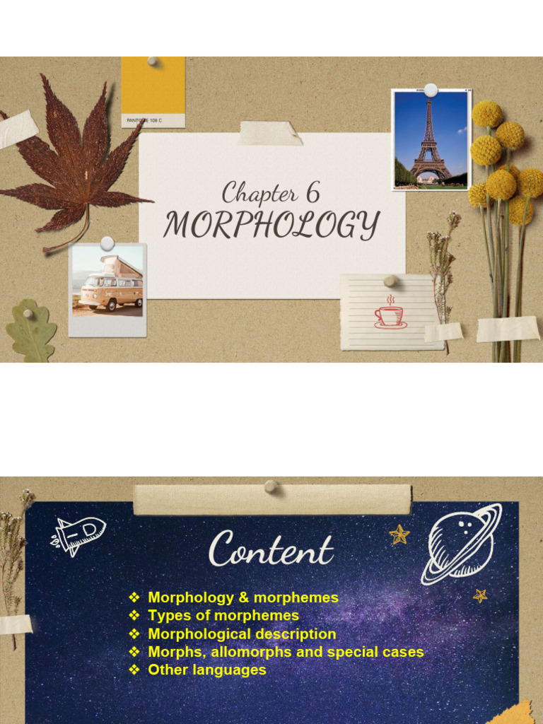 Morphology | PDF | Word | Morphology (Linguistics)