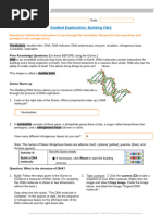 Student Exploration: Building DNA | PDF | Dna Replication | Dna