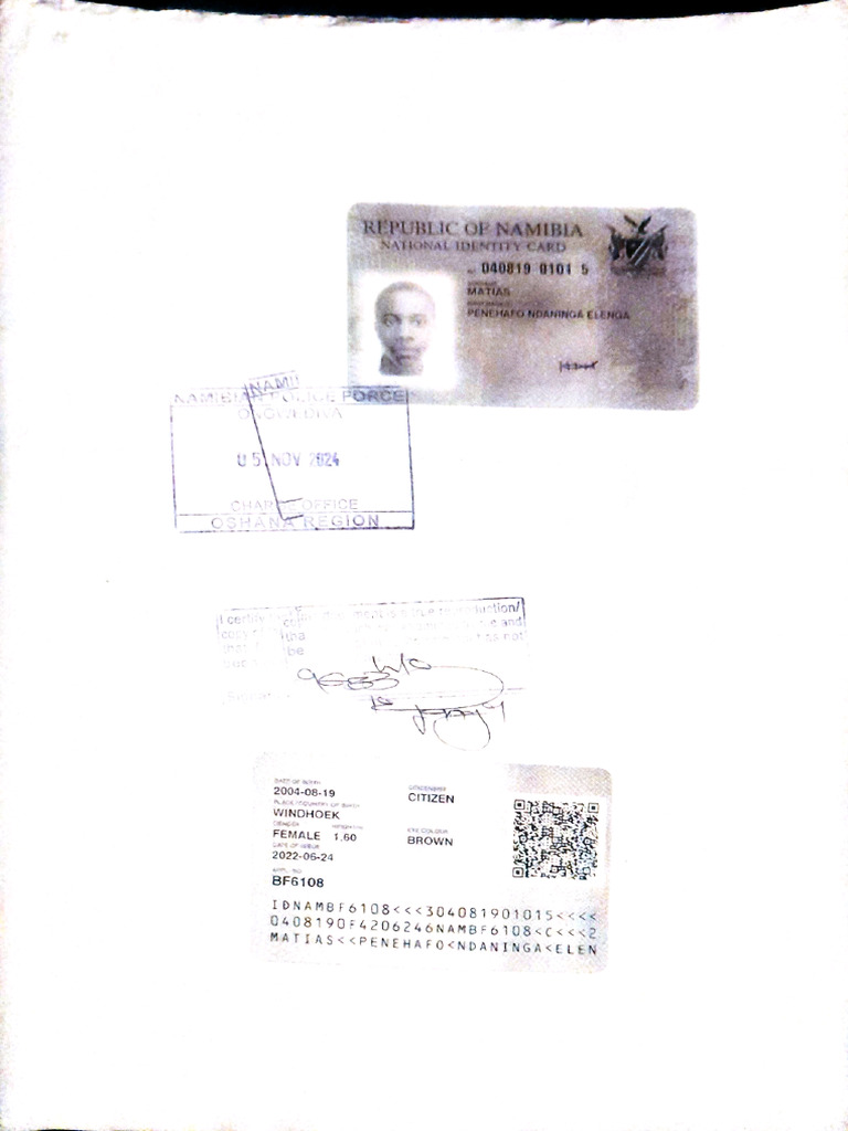 PDF Phoenix 20250216 100256 | PDF