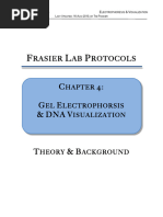 How To Read, Interpret and Analyze Gel Electrophoresis Results | PDF | Gel Electrophoresis ...
