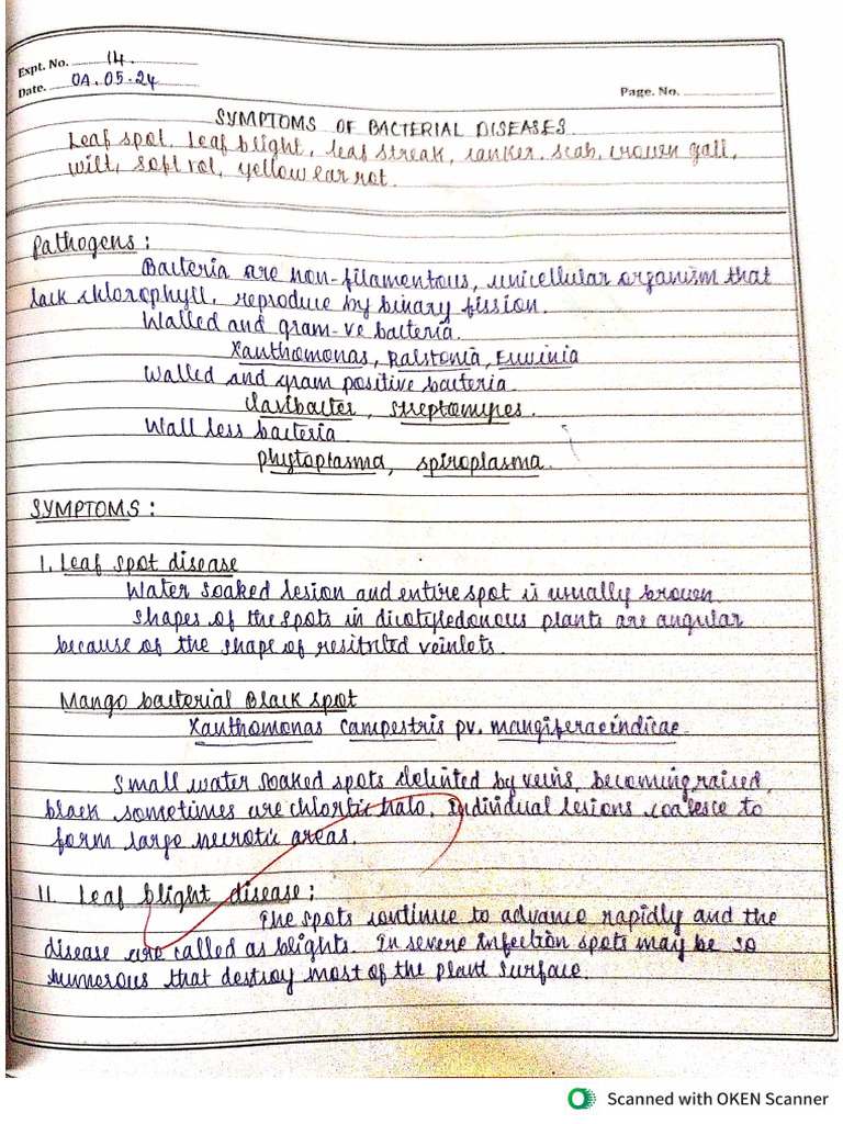 Pathology 14th Exercise | PDF