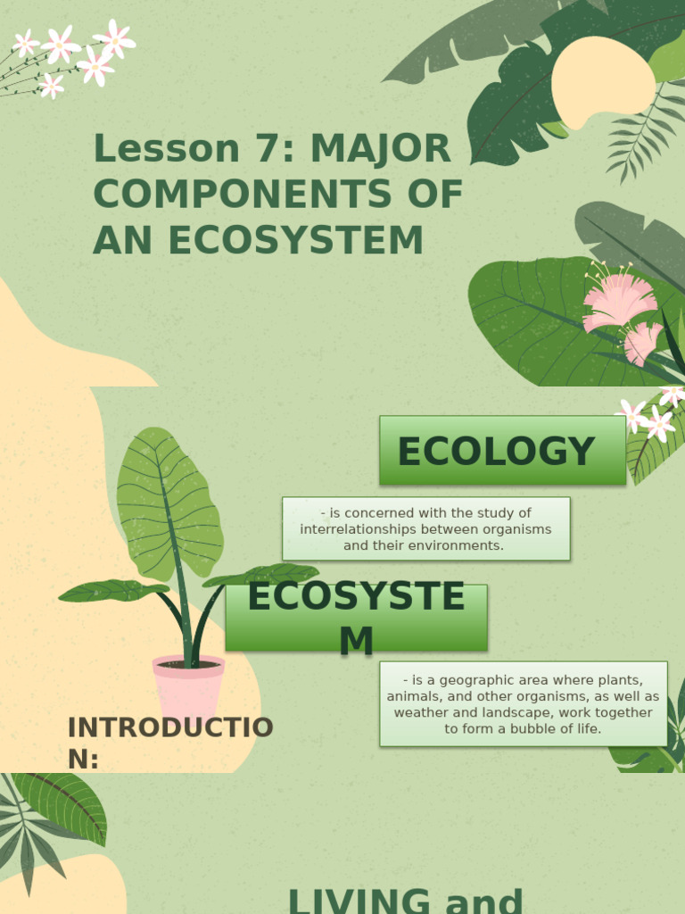 GROUP 4 - Major Components of An Ecosystem | PDF | Planets | Ecosystem