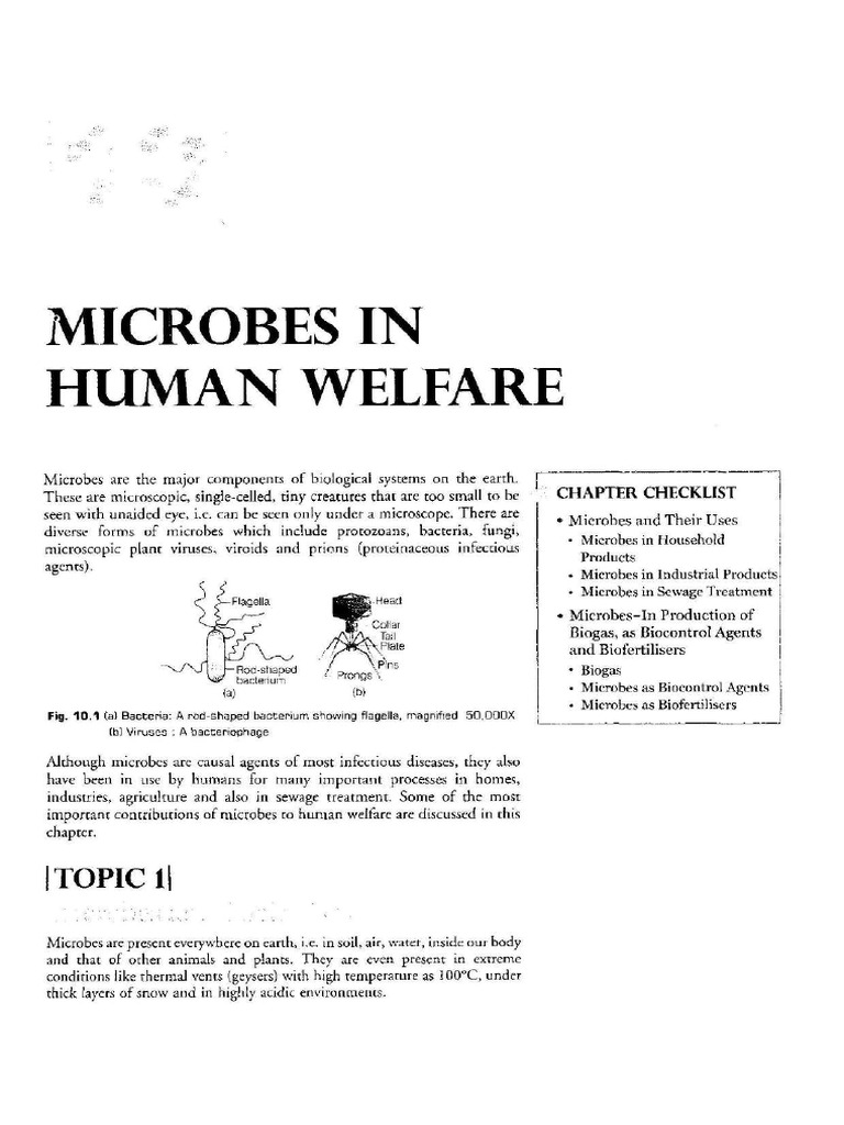 Microbes in Human Welfare | PDF