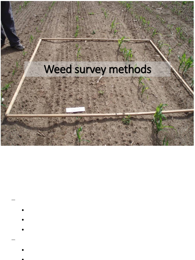 Weed Survey Methods | PDF | Seed | Plants