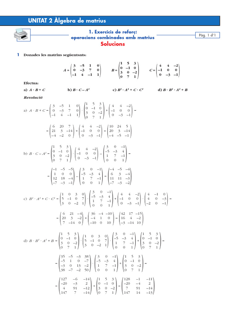 (Exercicis) Operacions Amb Matrius (Resolts) | PDF