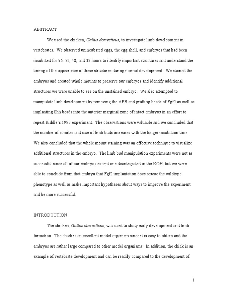 Example Lab Report | PDF | Zoology | Anatomy