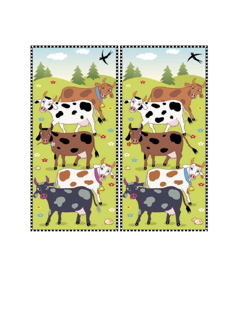 Spot The Differences (Observation Starter Activity) | PDF