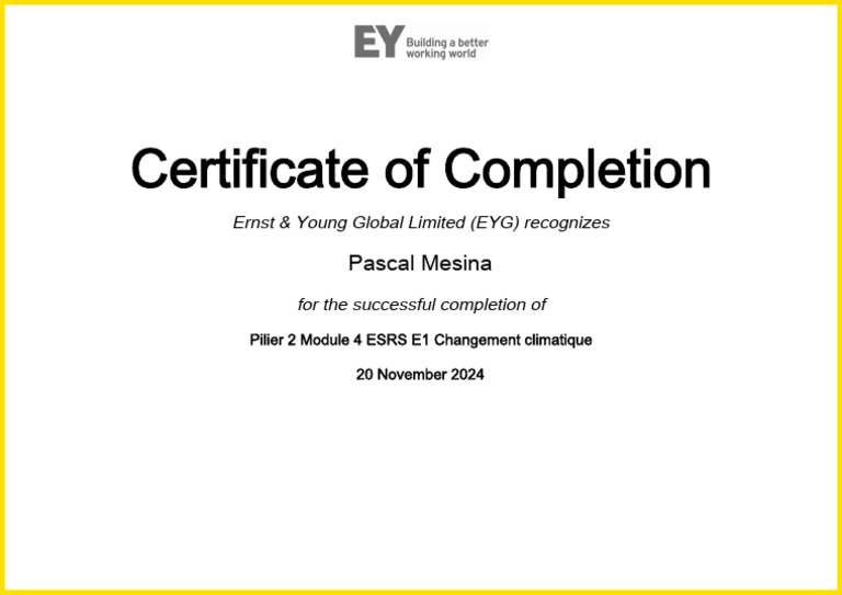 CertificateOfCompletion P2 M4 | PDF