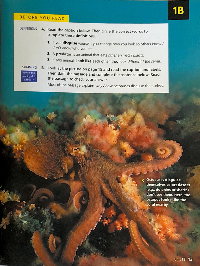 Master of Disguise | PDF