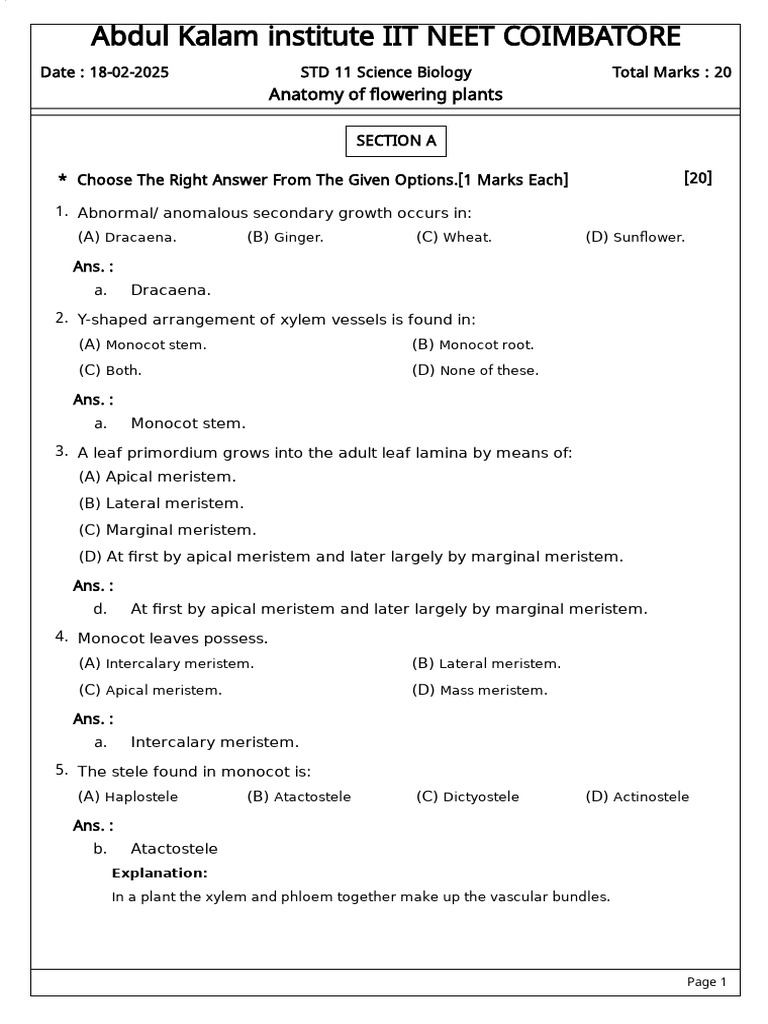 2025 02 18 09 56 Solution | PDF | Plant Stem | Tissue (Biology)