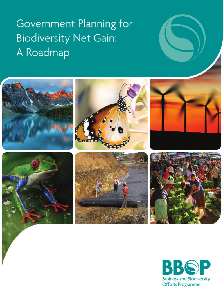 BBOP Government Roadmap 03 11 18 | PDF | Policy | Governance