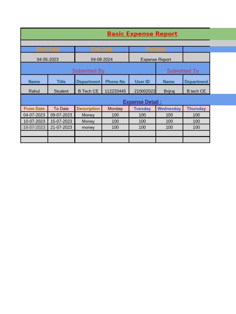 Basic Expense Report | PDF