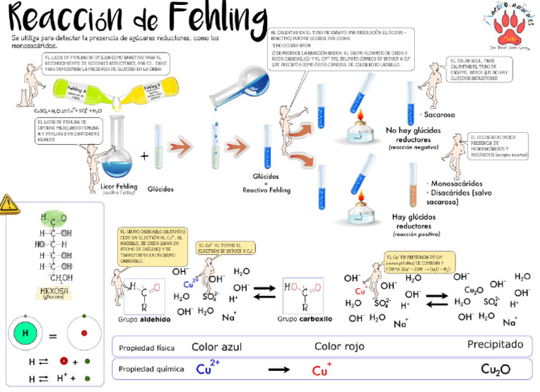 Reactivo de Fehling | PDF