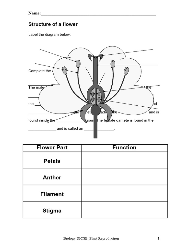 Plant Reproduction for IGCSE Biology | PDF | Flowers | Seed