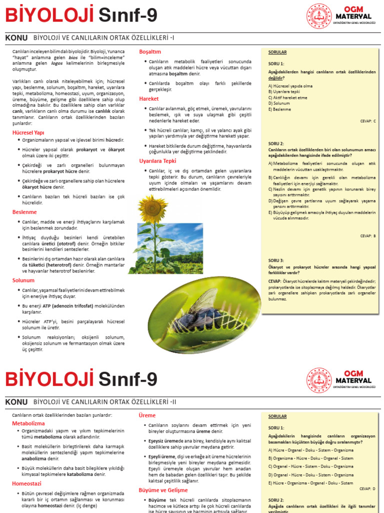 TYT Biyoloji | PDF