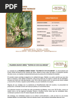 Coco Enano Verde de Brasil: Cultivo y Ventajas | PDF | Raíz | Hoja
