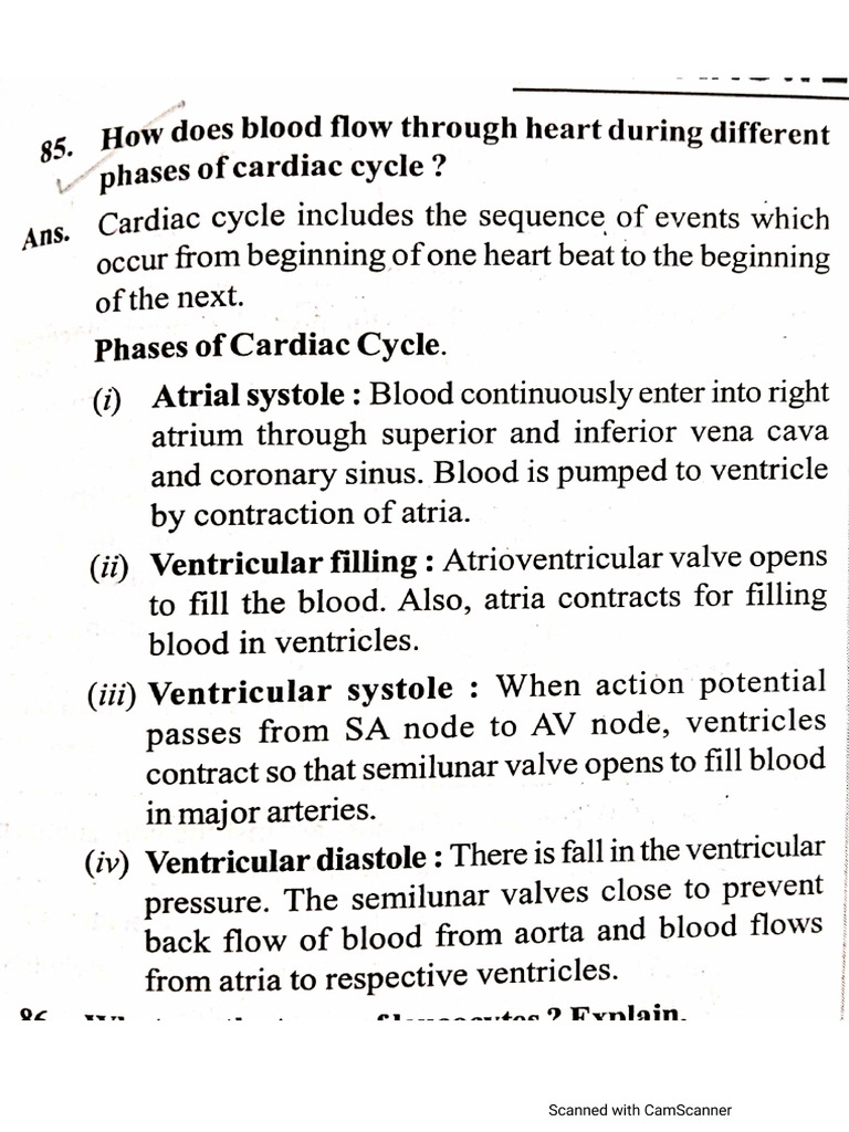 Class XI, Question of Blood Circulation | PDF