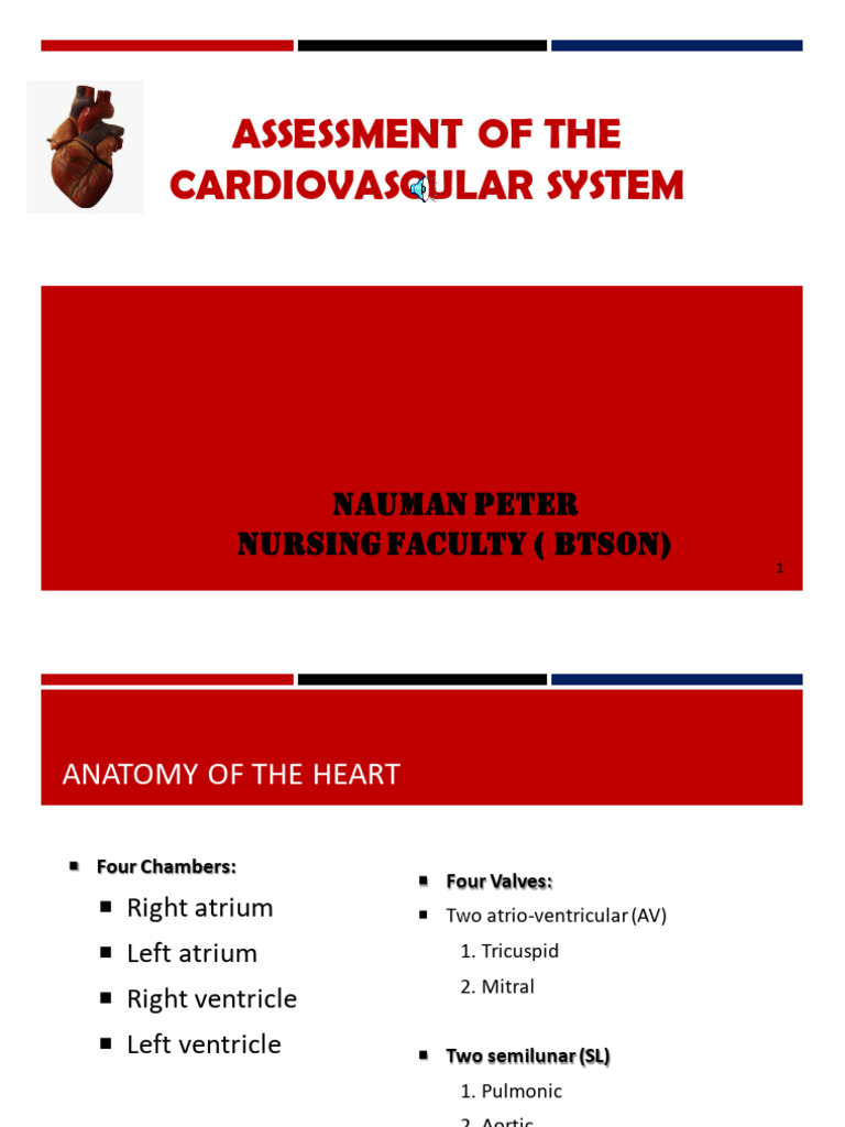 Cardiovascular Assessment | PDF | Pulse | Vein