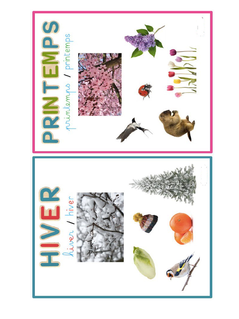 Cartes Saisons | PDF