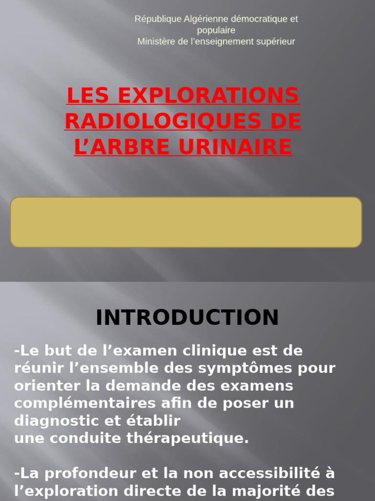 Explorations Radiologiques Urinaires | PDF | Radiologie | Rein