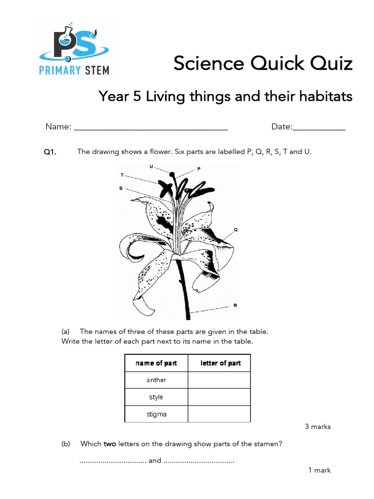 Year 5 Science Quiz: Living Things | PDF | Fertilisation | Egg