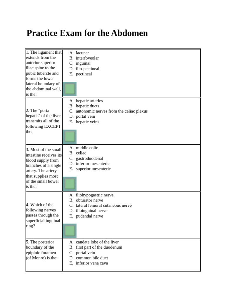 Abdomen Anatomy Practice Exam Questions | PDF | Liver | Abdomen