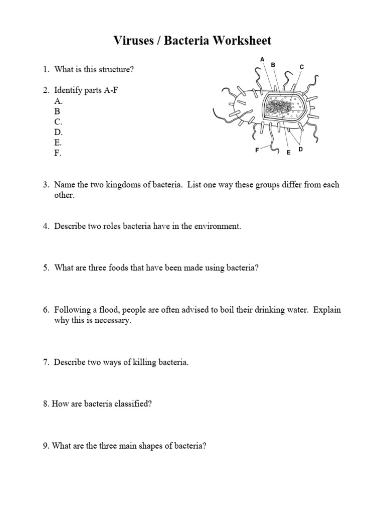Viruses and Bacteria Worksheet Guide | PDF
