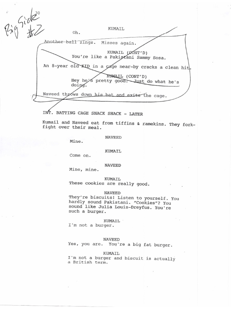 Big Sick 2 Pdf Grape