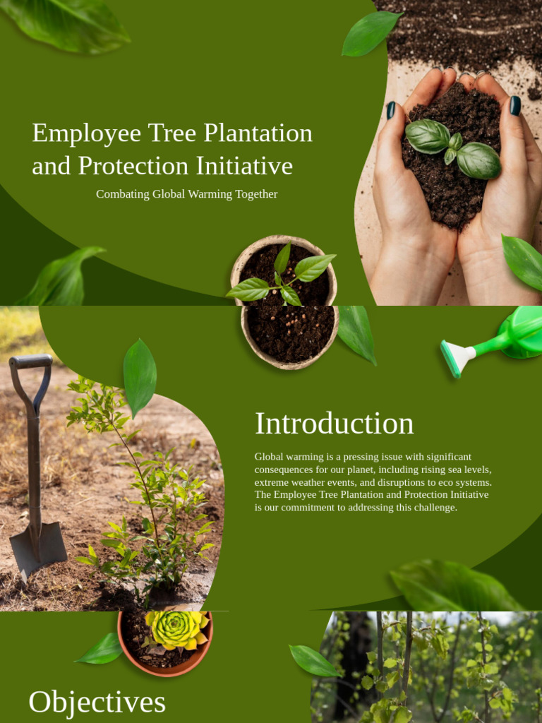 Tree Plantation Project 0.1 | PDF | Climate Change | Nature