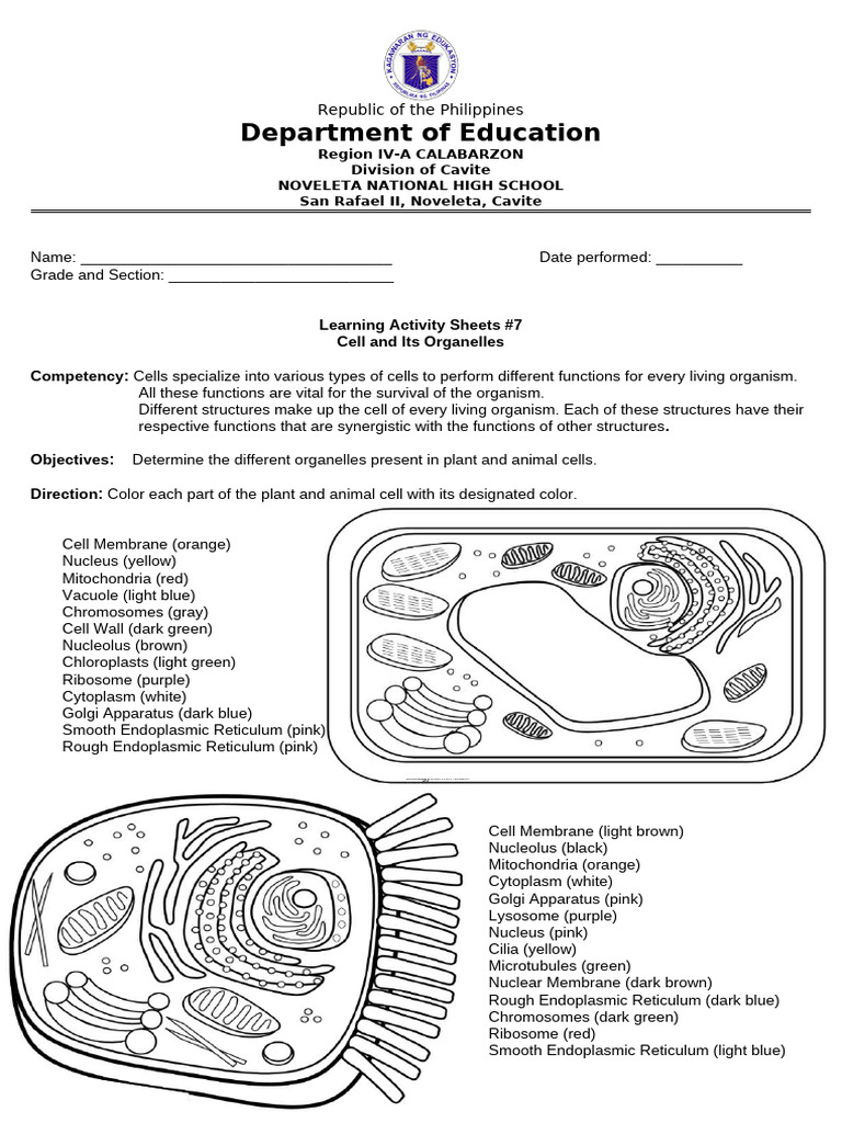 Q1 LAS #7 Cell | PDF | Cell (Biology) | Organelle