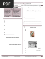 Blood Crossmatch Form | PDF