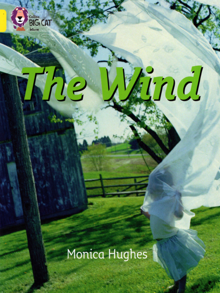 What Can the Wind Blow? Insights Inside | PDF